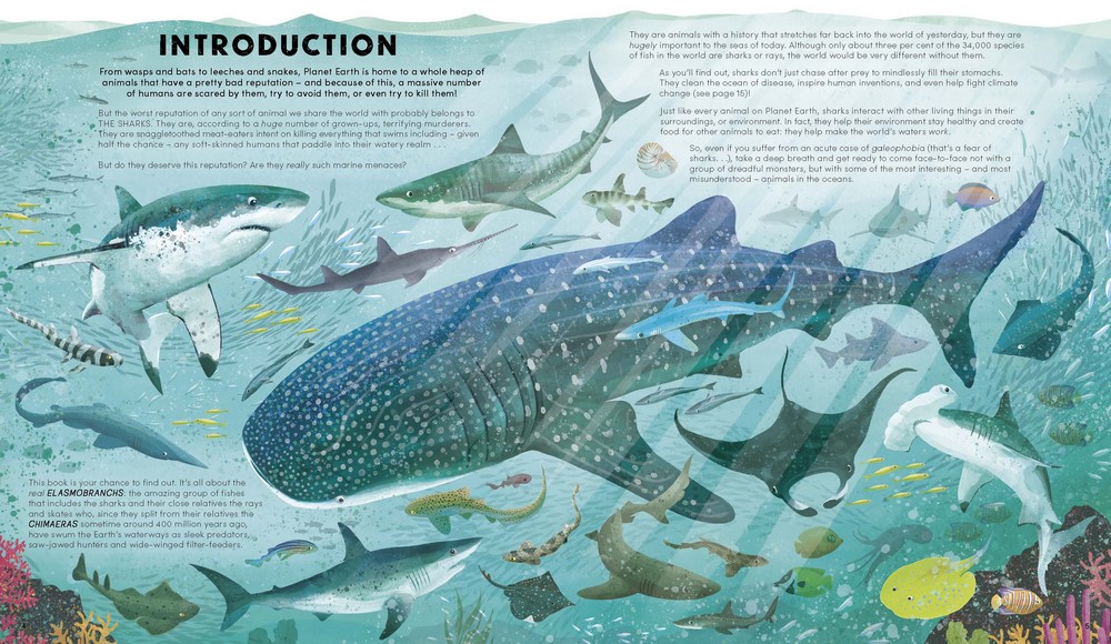 Everything You Know About Sharks is Wrong by Dr Nick Crumpton ...