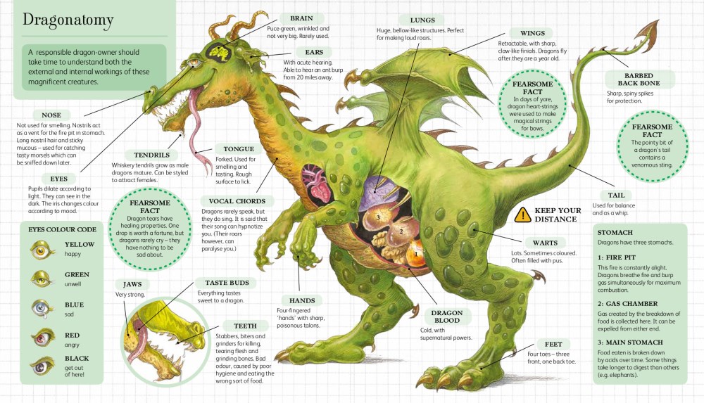 Dare to Care, Pet Dragon by Mark Robertson | 9781847805898 | Booktopia