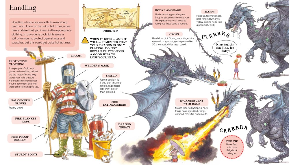 Dare to Care, Pet Dragon by Mark Robertson | 9781847805898 | Booktopia