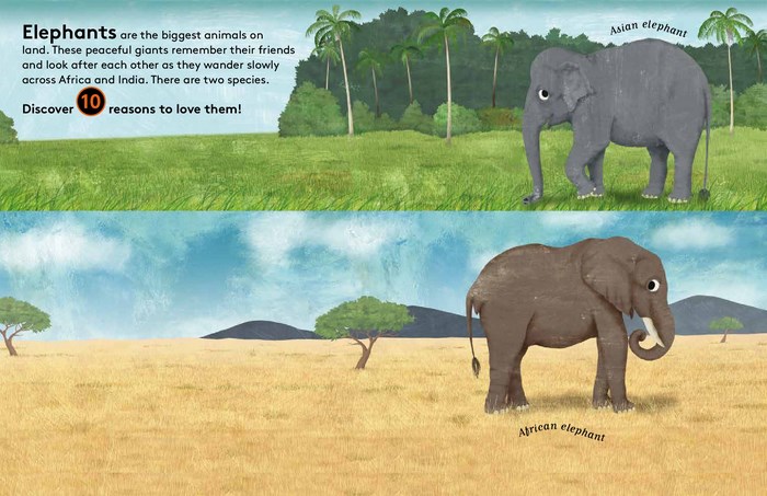 10 Reasons to Love an Elephant, 10 reasons to love a... by Catherine ...