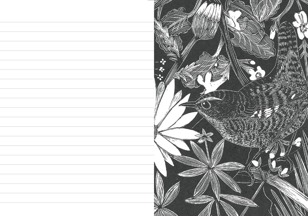 Birds Journal by Eric Fitch Daglish | 9781851245680 | Booktopia