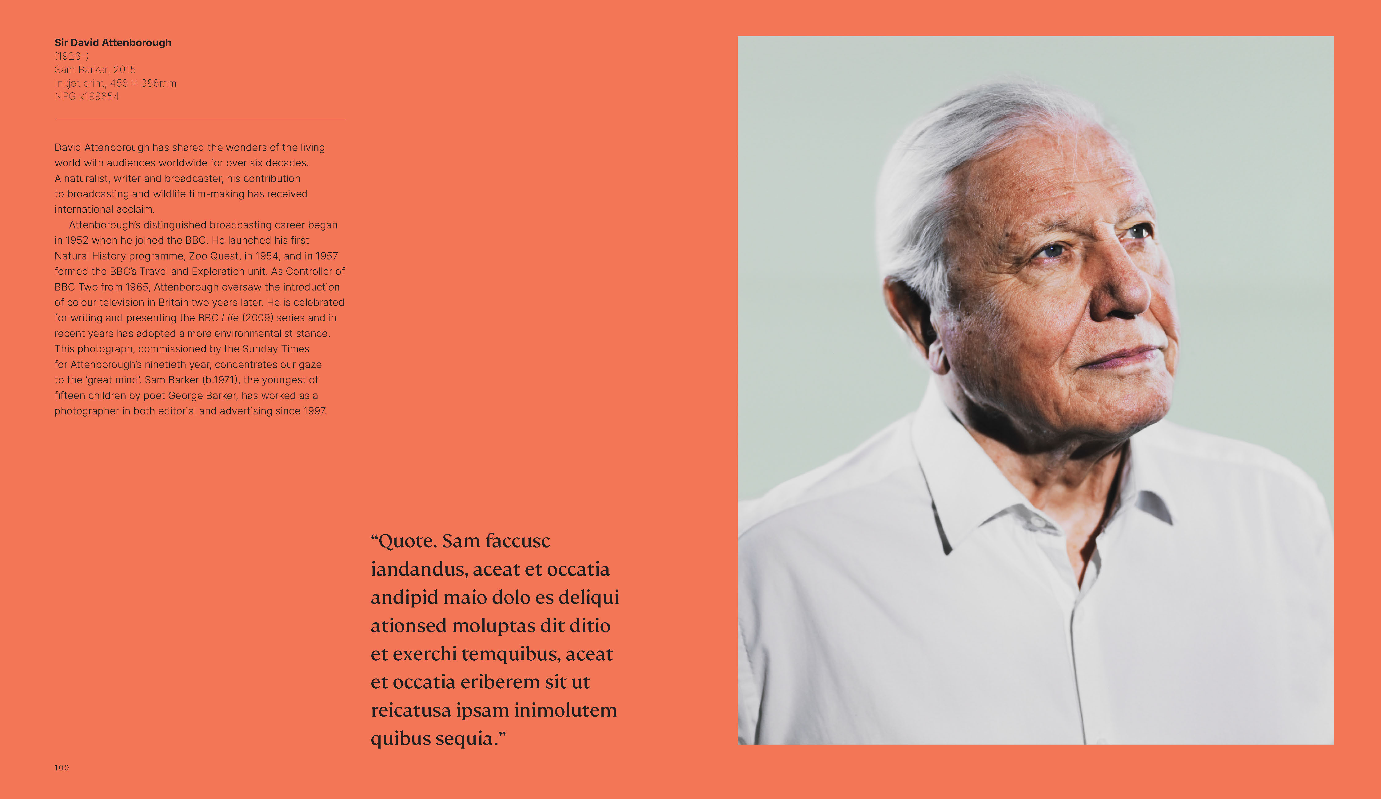 National Portrait Gallery, The Collection by Rab MacGibbon ...