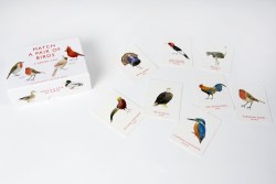 Match a Pair of Birds, A Memory Game by Christine Berrie ...