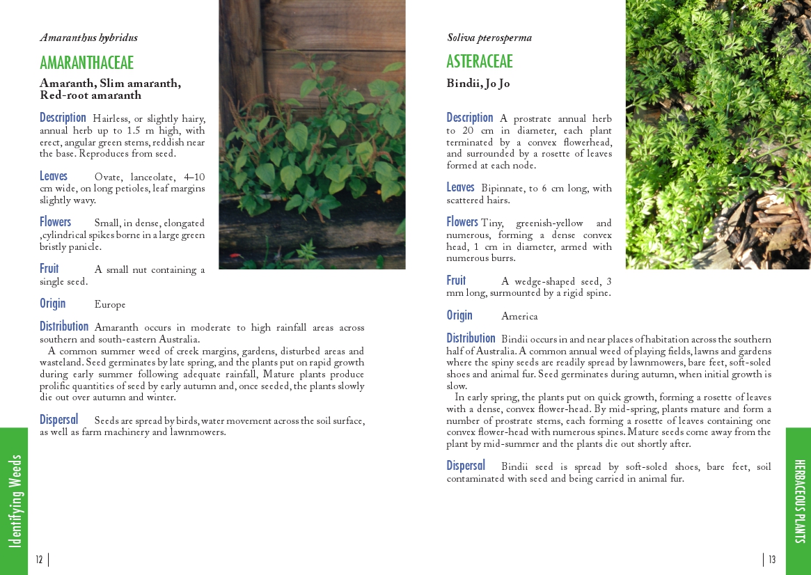 The Weed Book, Identifying and Removing Weeds and Introduced Species ...