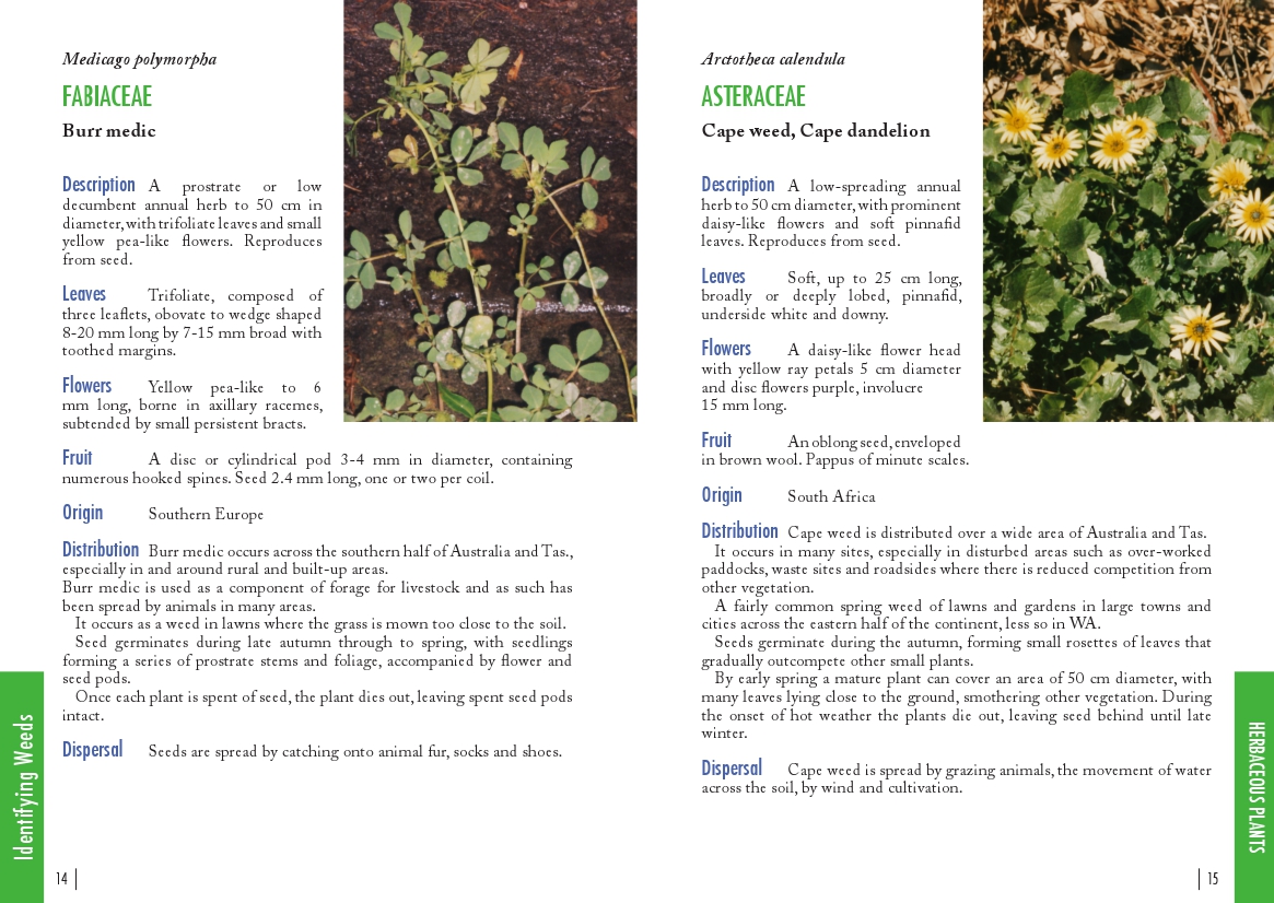The Weed Book, Identifying and Removing Weeds and Introduced Species ...