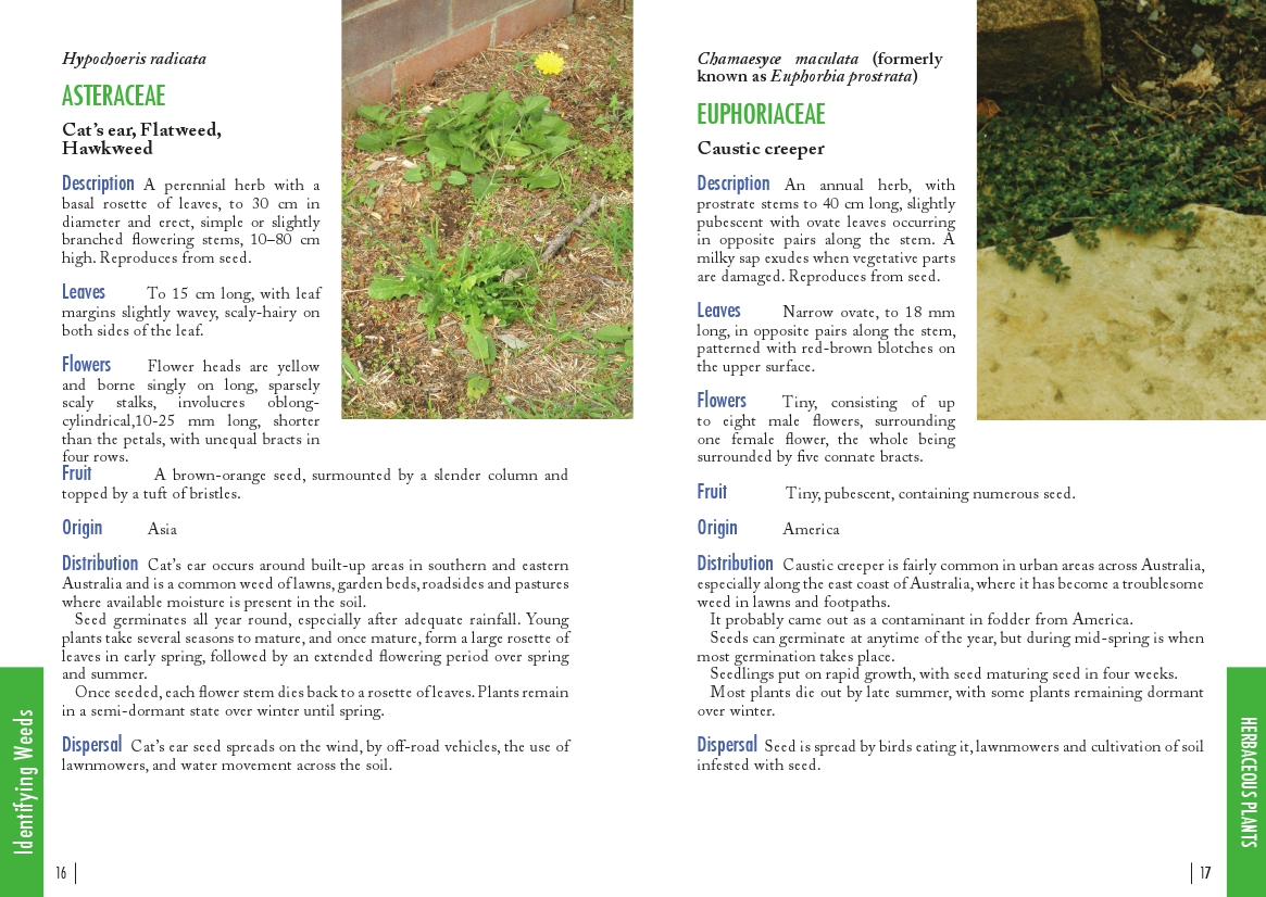 The Weed Book, Identifying and Removing Weeds and Introduced Species ...