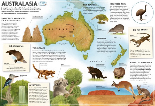 The Amazing Animal Atlas by Nick Crumpton | 9781909263116 | Booktopia