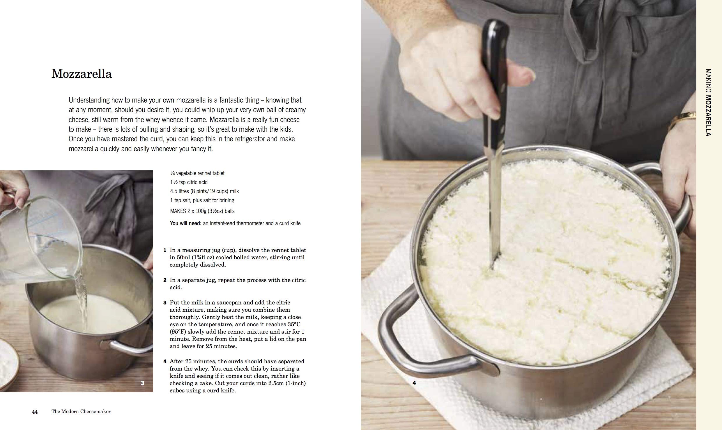 The Modern Cheesemaker, Making and Cooking With Cheeses at Home by ...