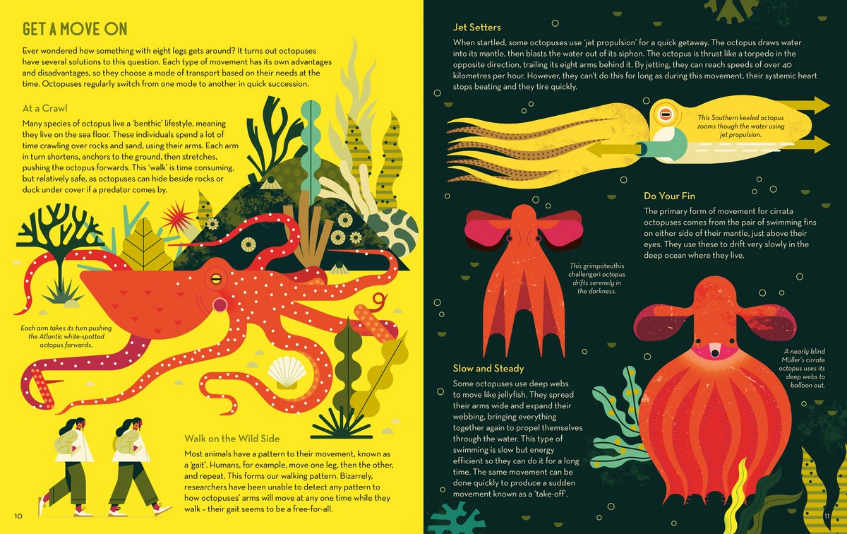 Obsessive About Octopuses, Owen Davey's About Animal Books by Owen ...