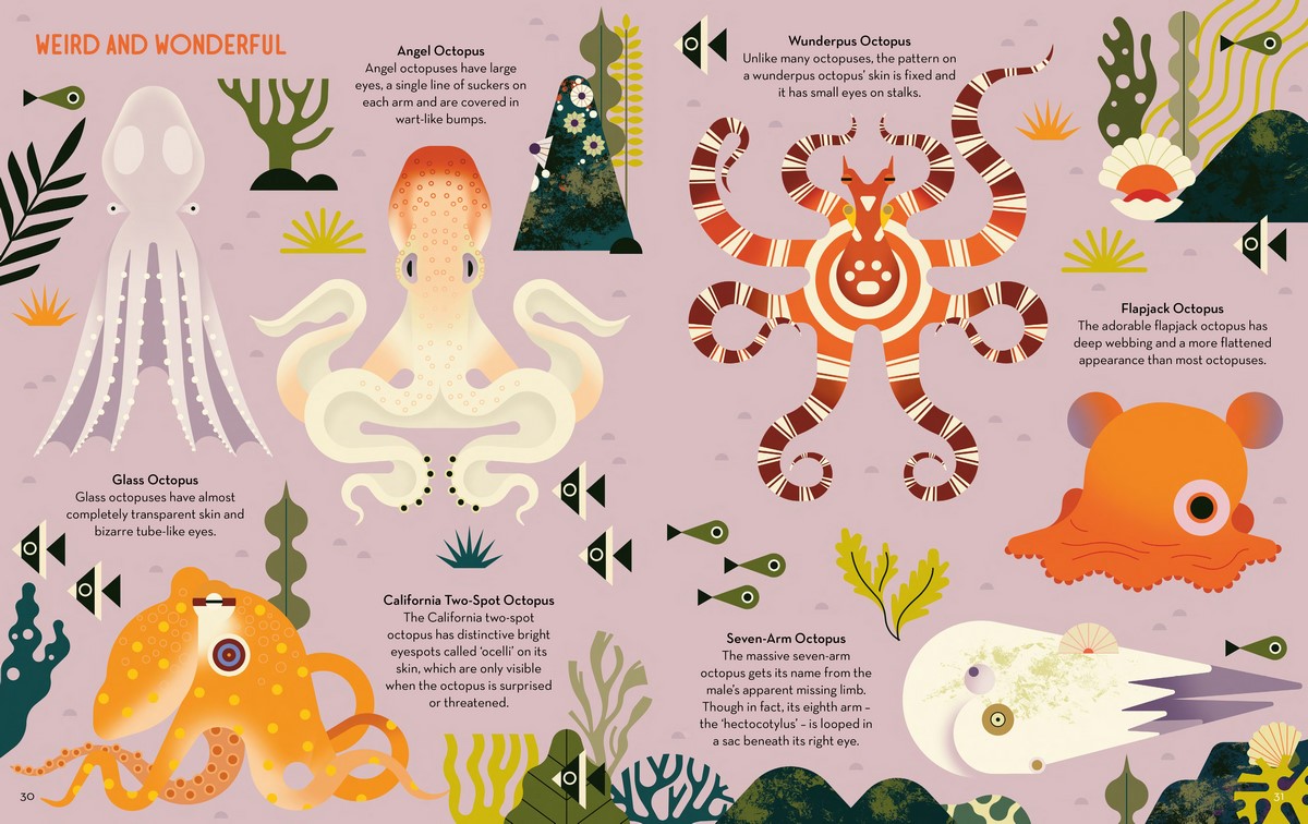 Obsessive About Octopuses, Owen Davey's About Animal Books by Owen ...