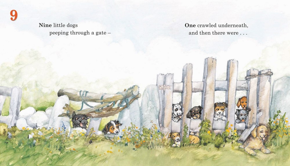 Ten Little Dogs by Ruth Brown | 9781912650538 | Booktopia