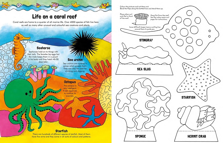 Make Your Own Coral Reef, Pop-Up Coral Reef Scene with Figures for ...