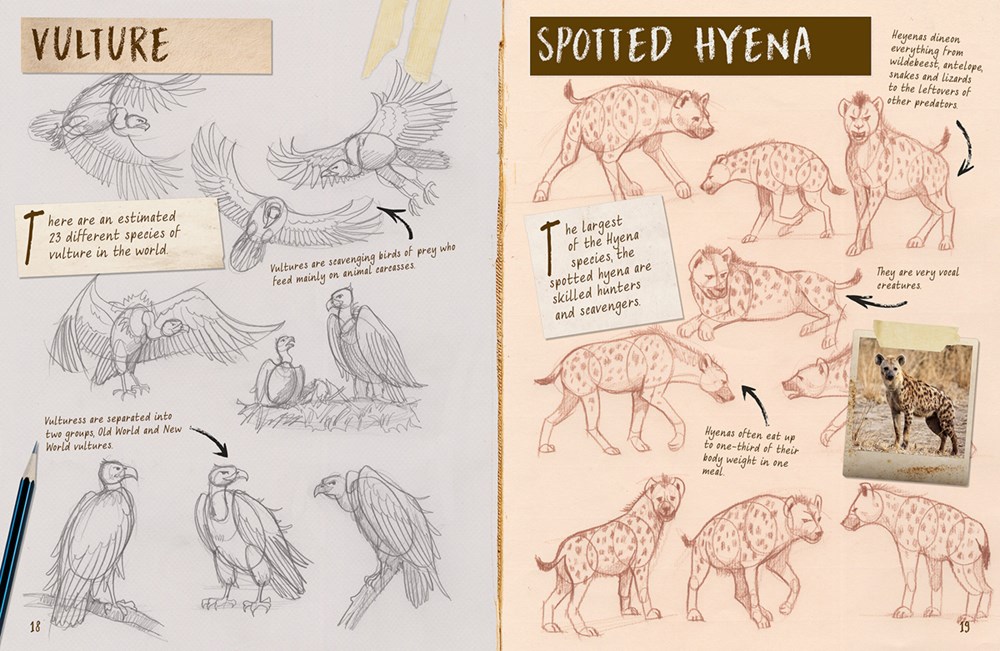 Draw 1,001 Animals, Draw 1,001 by Mark Bergin | 9781913337575 | Booktopia