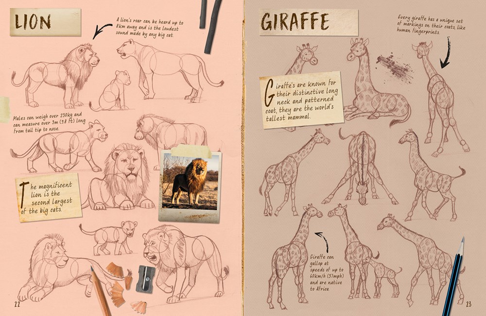 Draw 1,001 Animals, Draw 1,001 by Mark Bergin | 9781913337575 | Booktopia