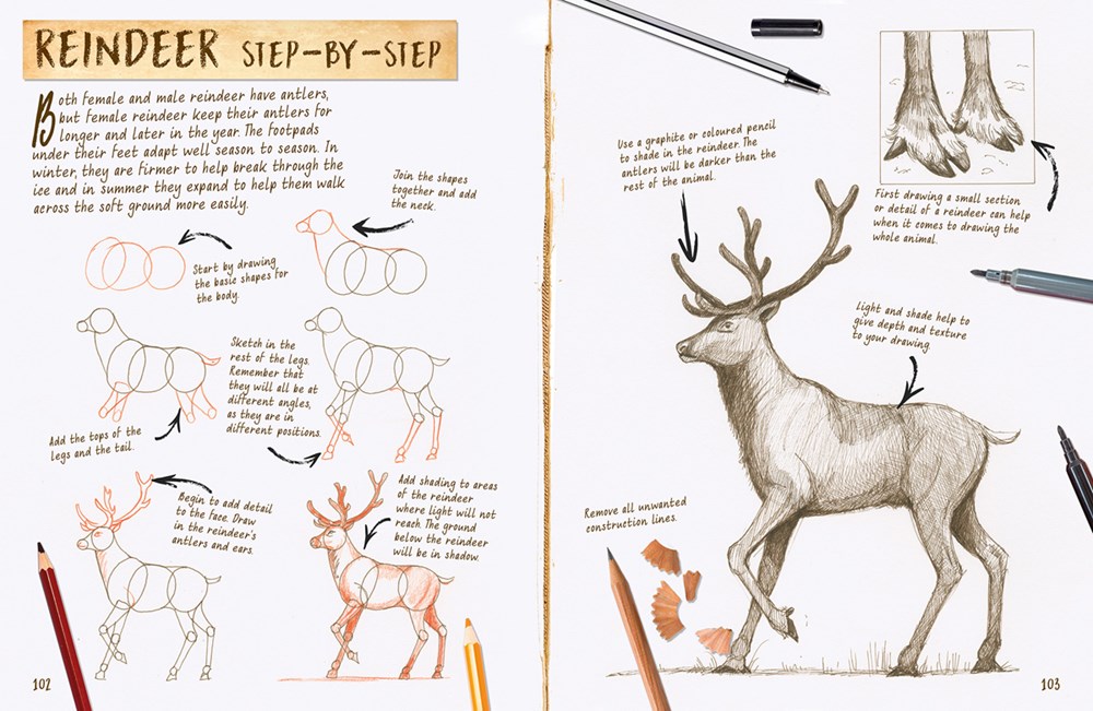 Draw 1,001 Animals, Draw 1,001 by Mark Bergin | 9781913337575 | Booktopia