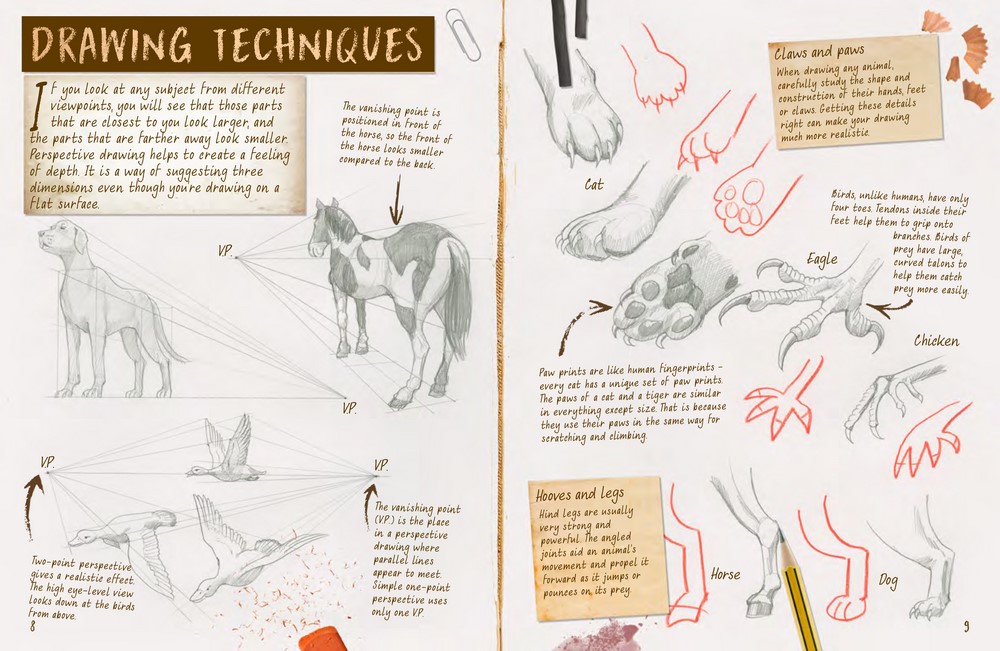 Draw 1,001 Animals, Draw 1,001 by Mark Bergin | 9781913337575 | Booktopia