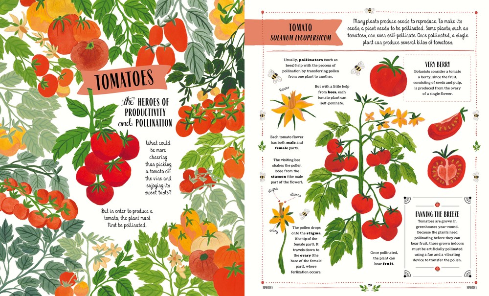 Grow, A Children's Guide to Plants and How to Grow Them by Rizaniño ...