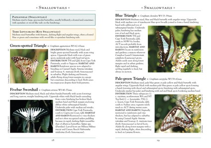 Australian Geographic's A Naturalist's Guide to the Butterflies of ...