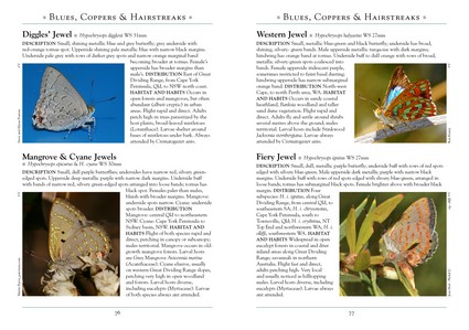 Australian Geographic's A Naturalist's Guide to the Butterflies of ...