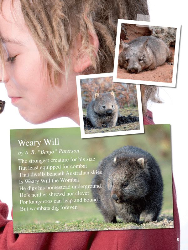 Targeting English Lower Primary, Years K-2 by Kara Munn | 9781921247675 ...