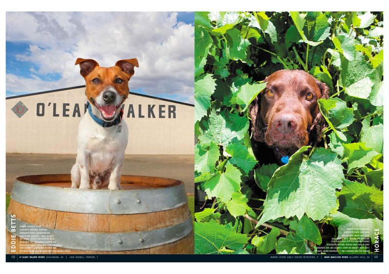 Wine Dogs Australia, The Leunig Edition by Craig McGill | 9781921336560 ...