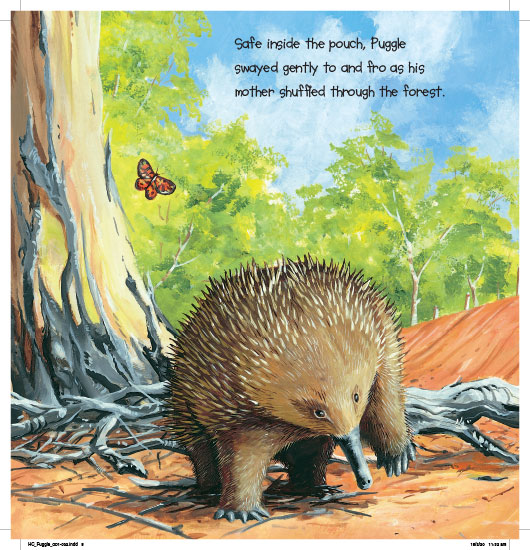 Puggle by Catriona Hoy | 9781921504228 | Booktopia