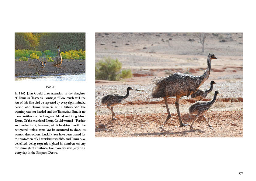 Booktopia - Glimpses of Australian Birdlife by Slater Peter & Elmer ...