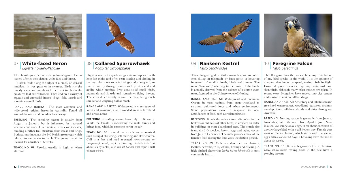 Backyard Bird Sounds with CD, Includes Songs and Calls of 74 Common ...