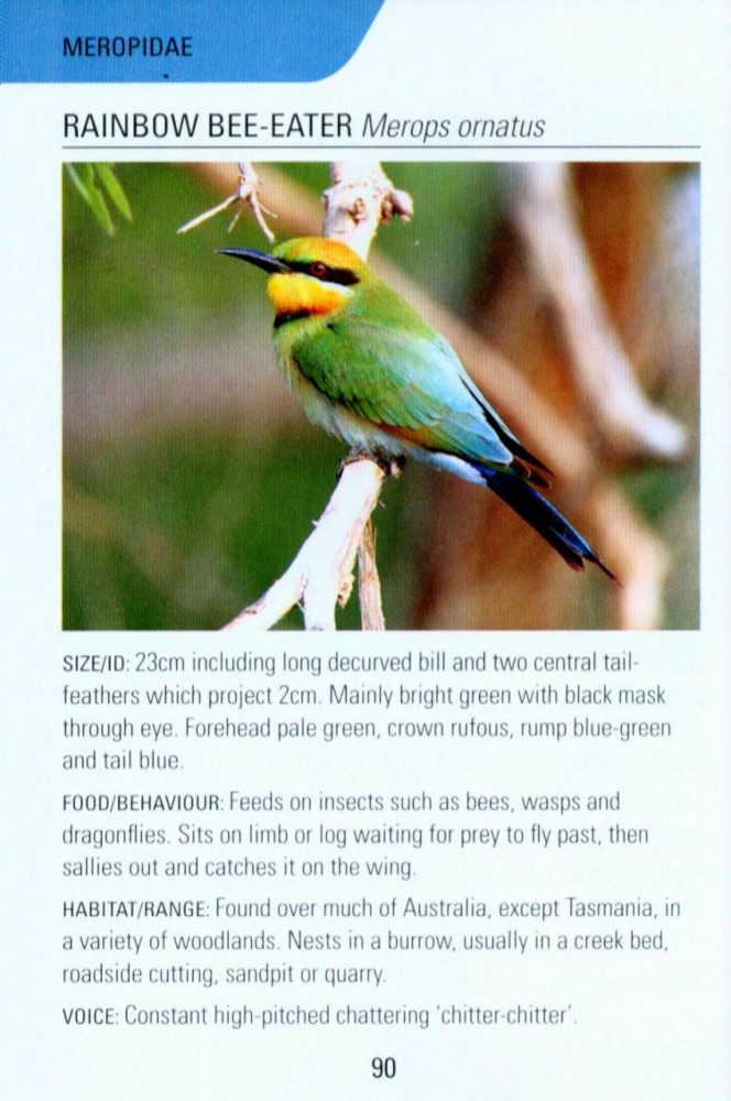 Reed Concise Guide : Birds of Australia , Reed Concise Guide by Ken ...