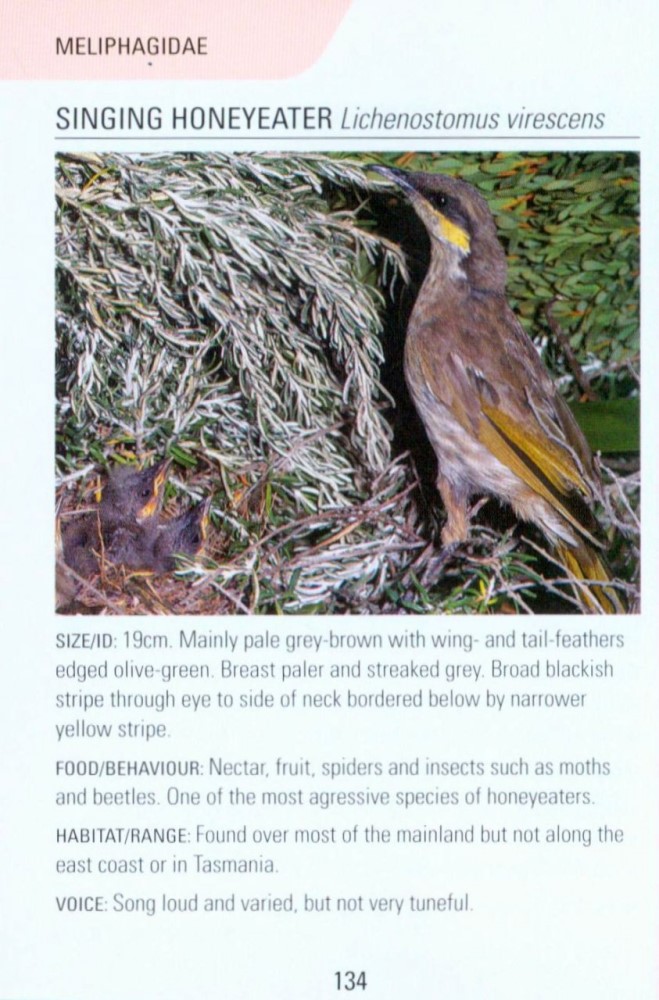 Reed Concise Guide : Birds of Australia , Reed Concise Guide by Ken ...