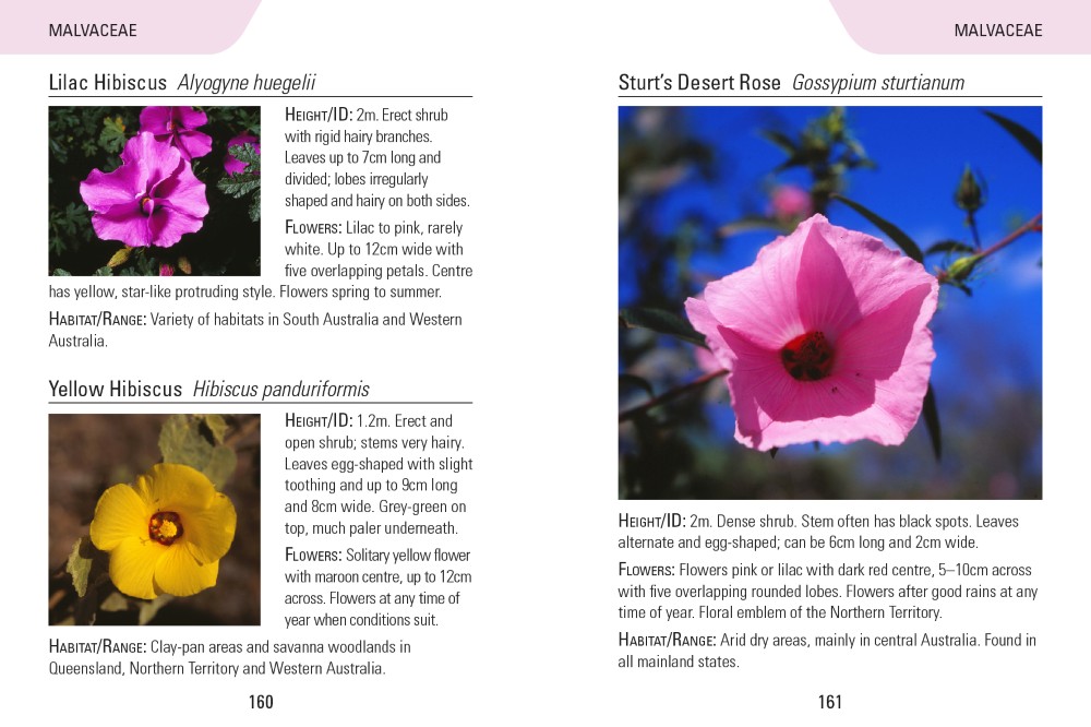 Reed Concise Guide : Wildflowers of Australia, Reed Concise Guide by ...