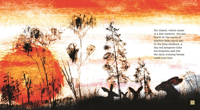 Big Red Kangaroo, Nature Storybooks by Claire Saxby | 9781921720420 ...