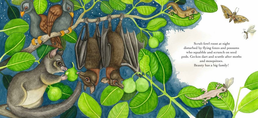 Beauty by Sandra Kendell | 9781922081810 | Booktopia