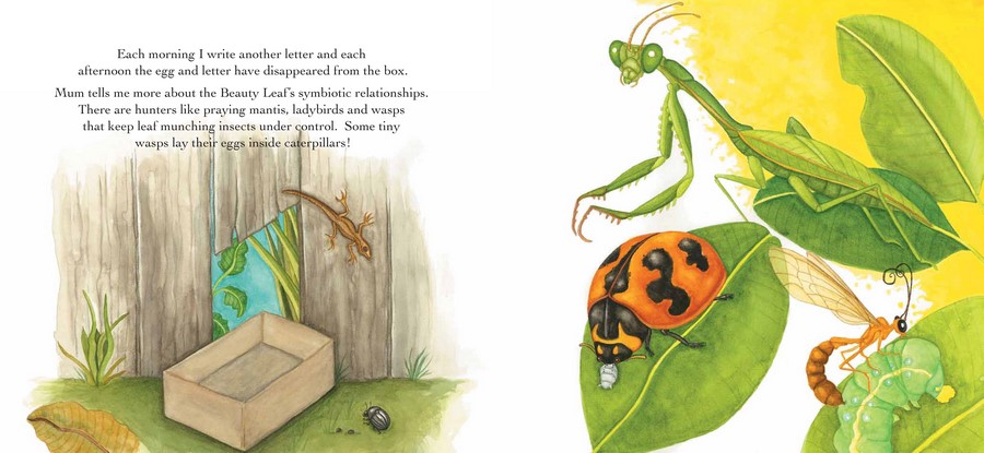 Beauty by Sandra Kendell | 9781922081810 | Booktopia