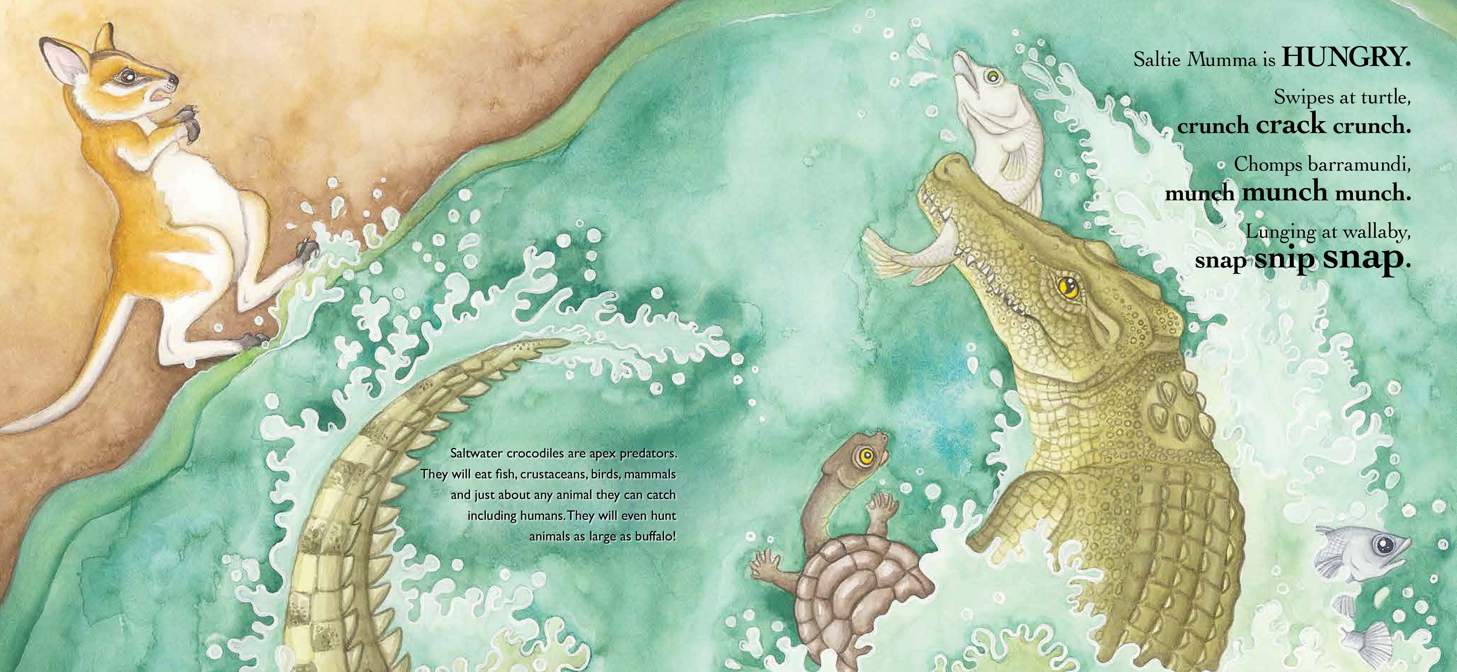 Saltie Mumma by Sandra Kendell | 9781922081896 | Booktopia