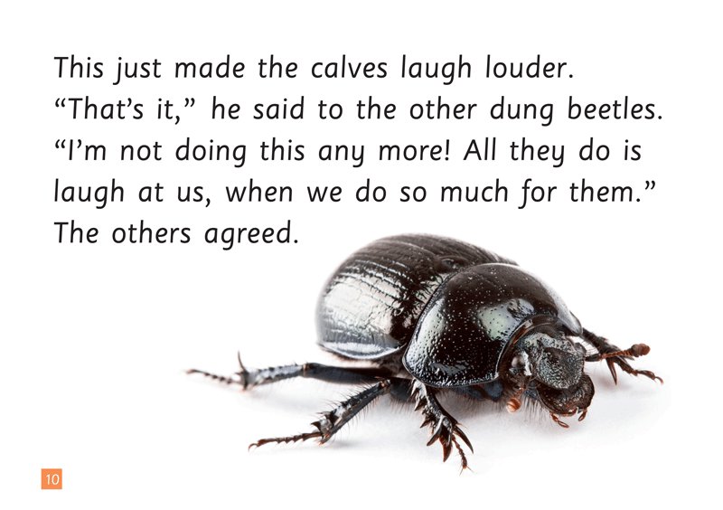 Doug the Dung Beetle, Kids Story Book : Insects Series by Steve Parish ...