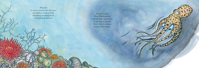 Rock Pool Secrets by Narelle Oliver | 9781922179357 | Booktopia