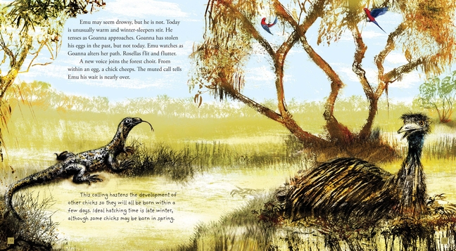 Emu, Nature Storybooks by Claire Saxby | 9781922179708 | Booktopia