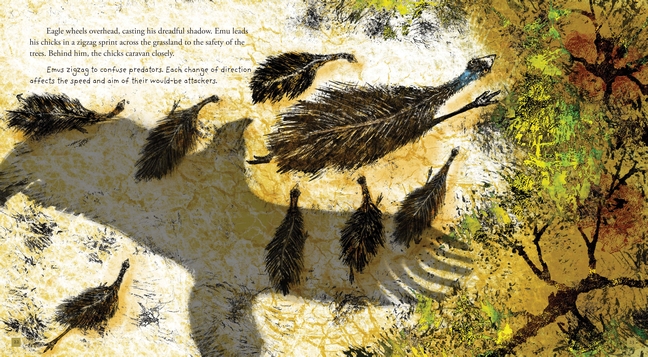 Emu, Nature Storybooks by Claire Saxby | 9781922179708 | Booktopia