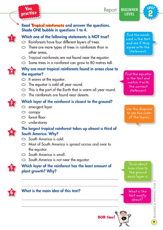 Naplan*-style Reading and Writing : Year 5, Back to Basics by Pascal ...
