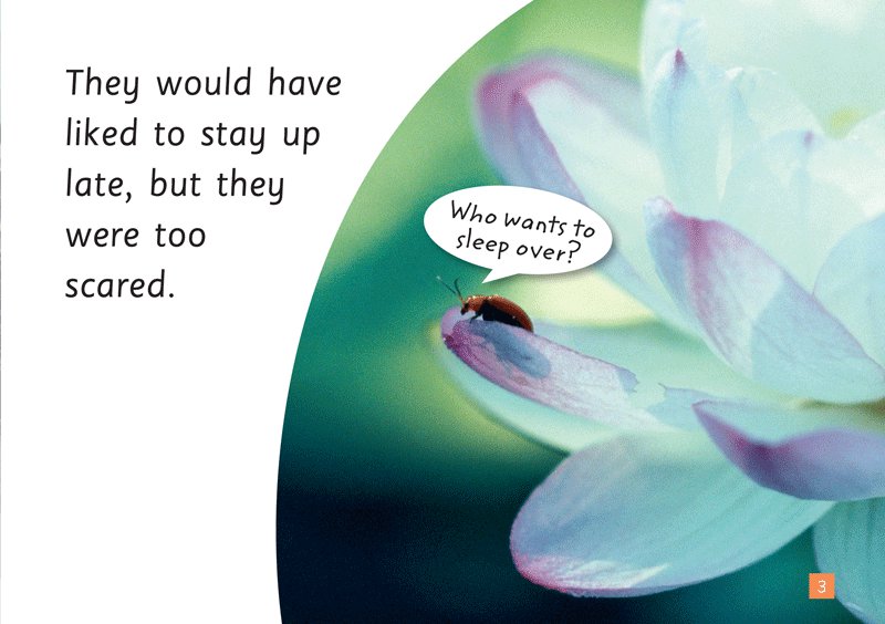 Boris the Beetle, Insect Storybooks by Steve Parish Publishing ...