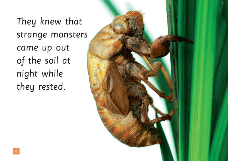 Boris the Beetle, Insect Storybooks by Steve Parish Publishing ...