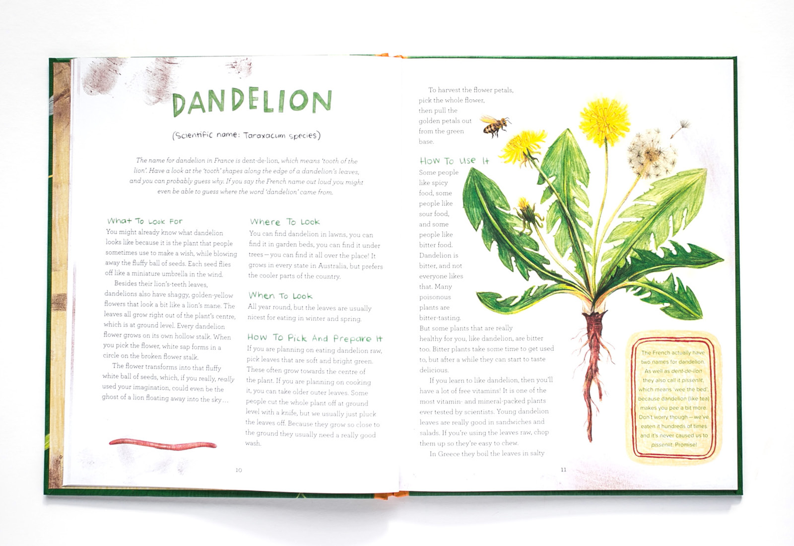 Let's Eat Weeds! by Annie Raser-Rowland | A kids' guide to foraging ...