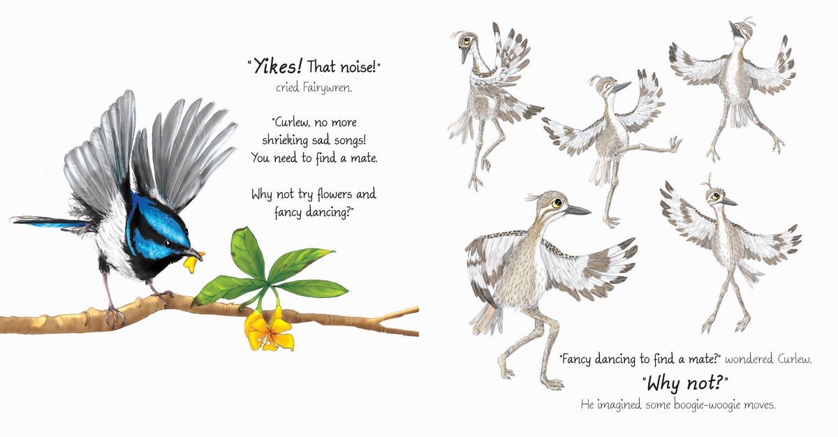 Boogie Woogie Bird by Alison Stegert | 9781922322937 | Booktopia