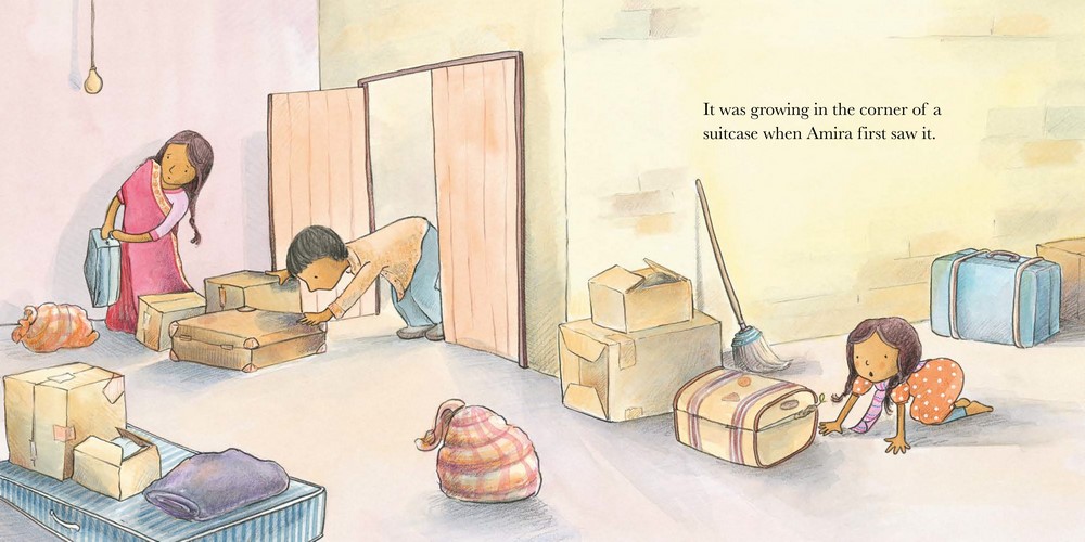 Amira's Suitcase, CBCA Honour Title Early Childhood 2022 by Vikki ...