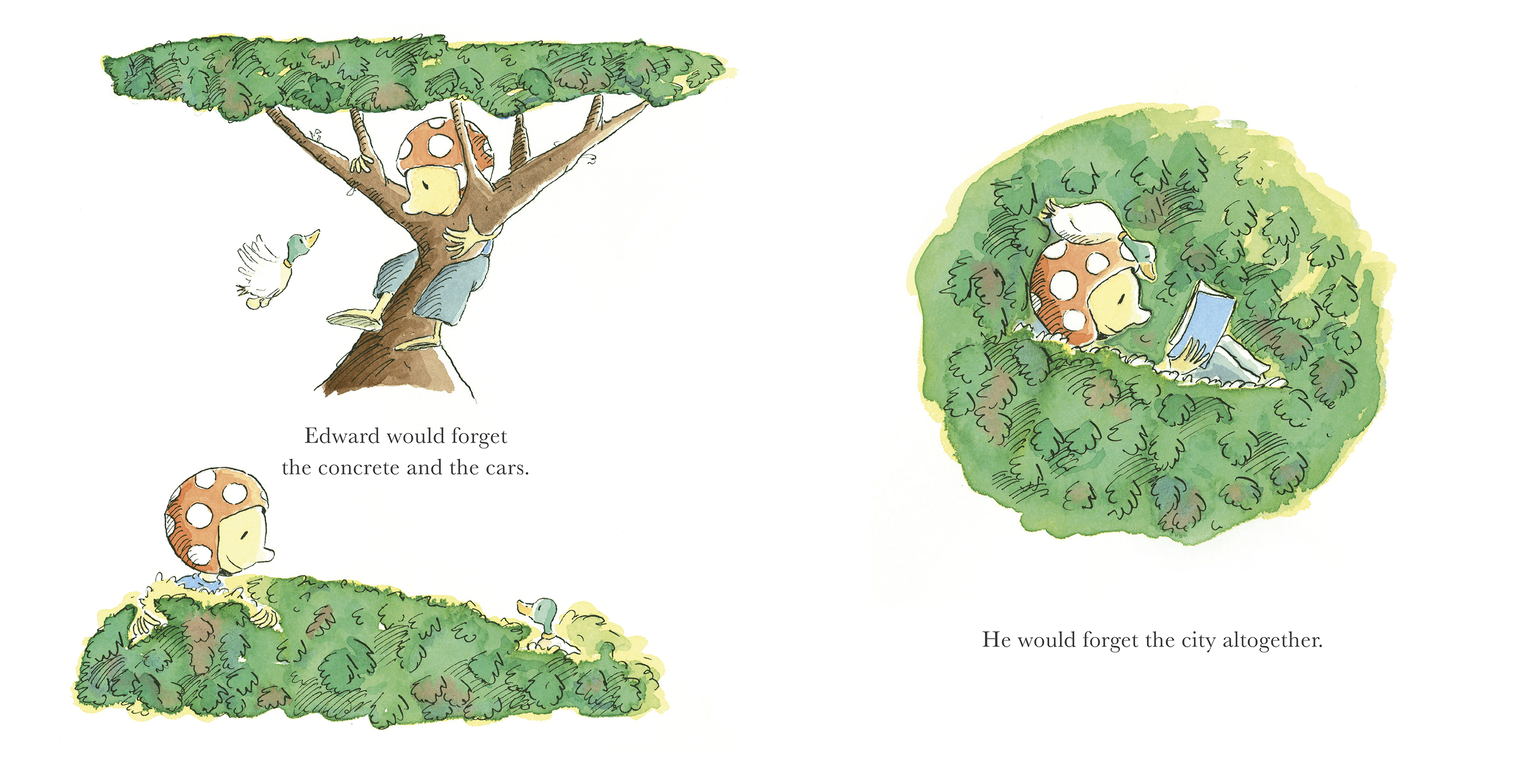 Last Tree in the City by Peter Carnavas | 9781922326935 | Booktopia