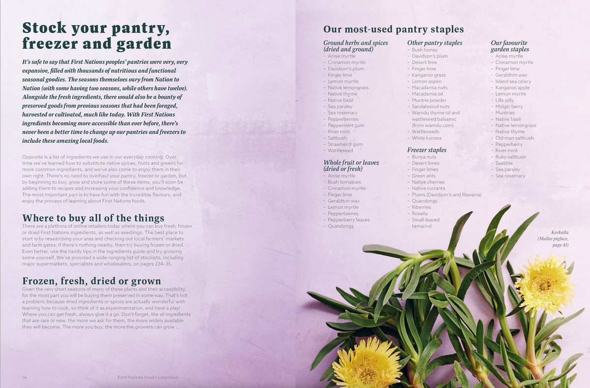 First Nations Food Companion, How to buy, cook, eat and grow Indigenous ...