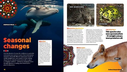 Deadly Science - Animal Adaptions, Book 1 by Australian Geographic ...