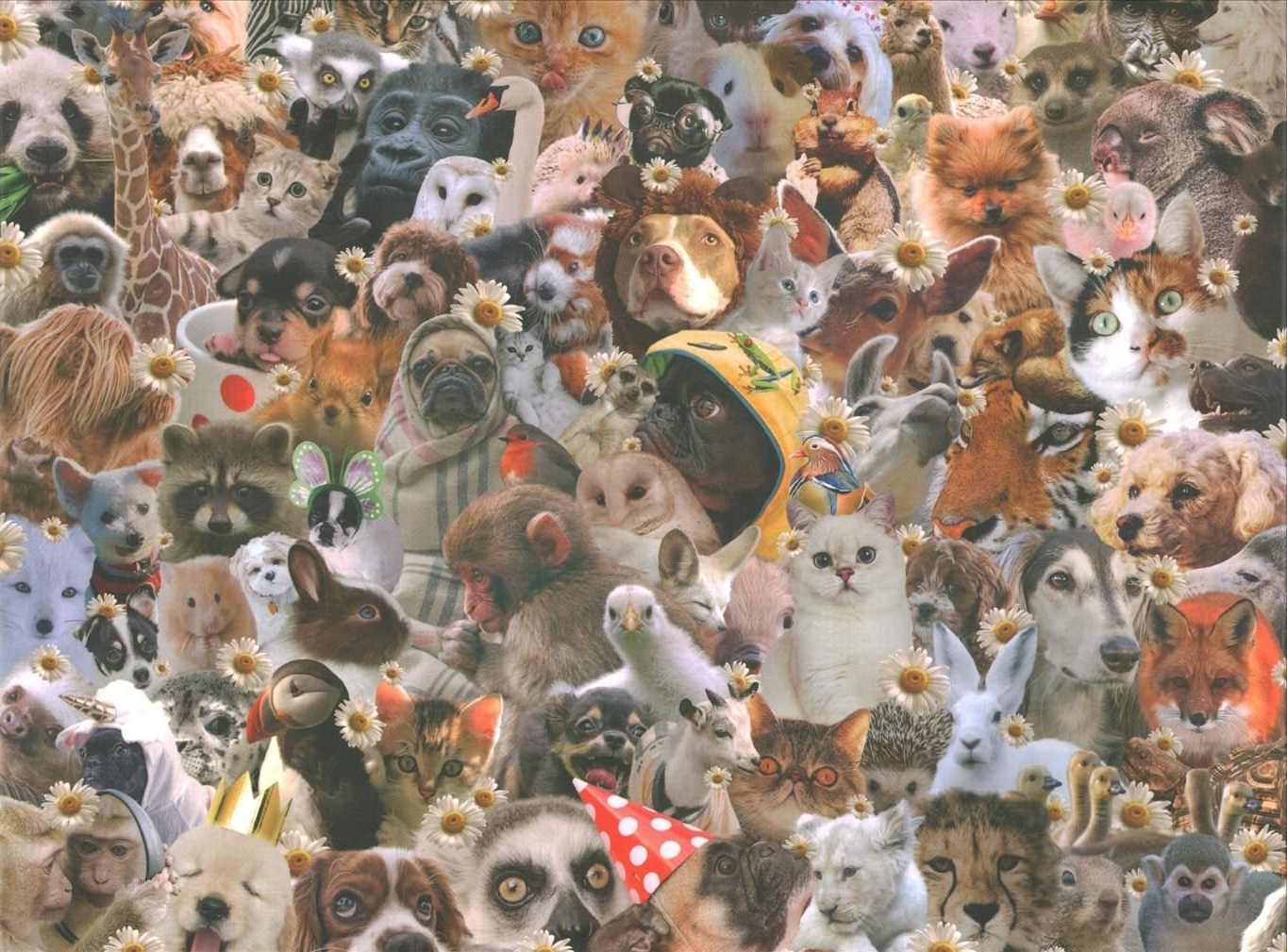 This Jigsaw is Literally Just Pictures of Cute Animals That Will Make ...