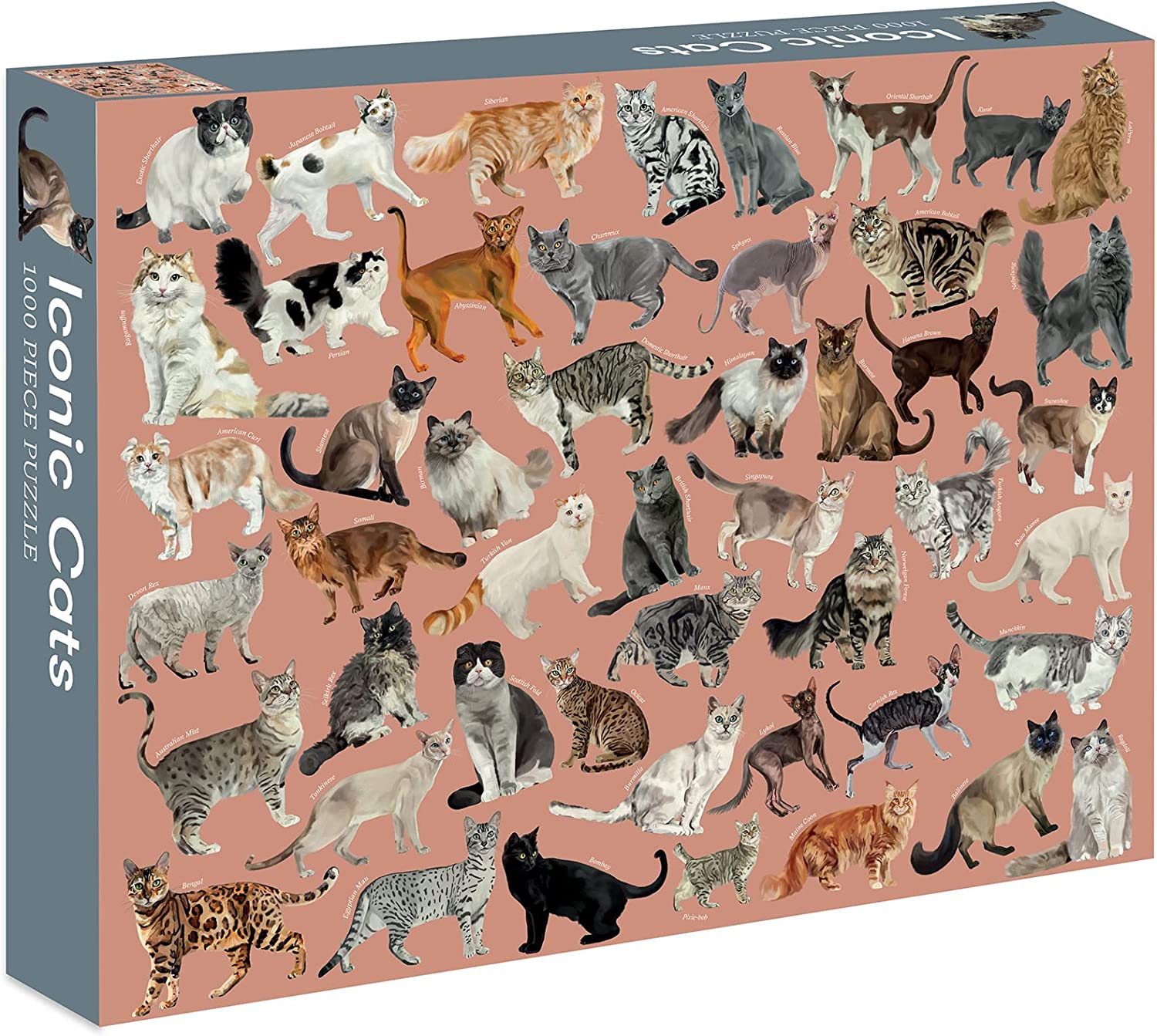 Iconic Cats Puzzle, 1000-Piece Jigsaw Puzzle by Marta Zafra ...